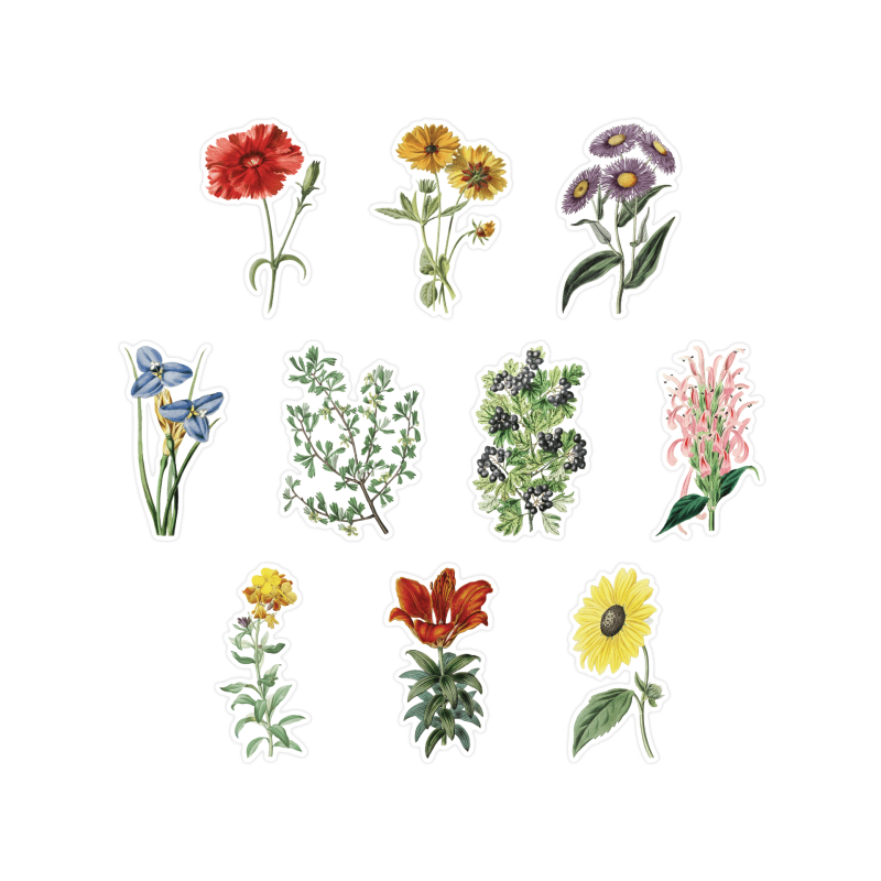 Stiker Bunga Aesthetic – Agette