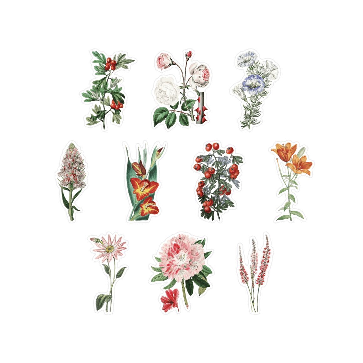 Stiker Bunga Hand Drawn – Agette