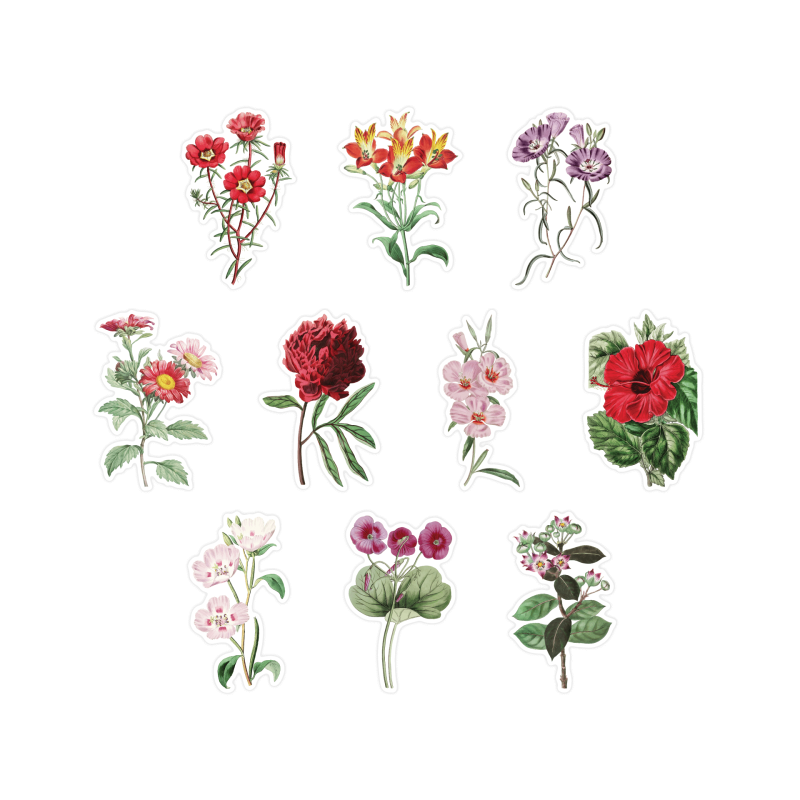 Stiker Bunga Hiasan – Agette